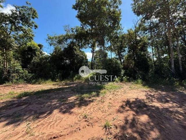 Terreno à venda, 399 m² por R$ 45.000,00 Condomínio Ninho Verde II Pardinho/SP