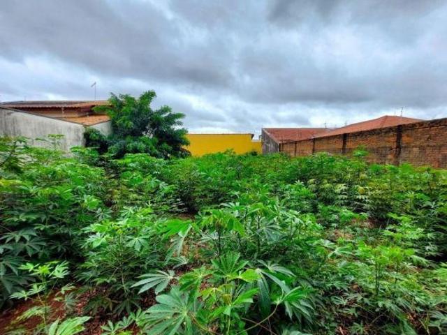 Terreno à venda, 390 m² por R$ 375.000,00 Residencial Furlan Santa Bárbara D&apos Oeste/SP