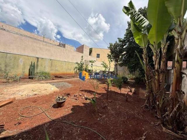 Terreno à venda, 391 m² por R$ 370.000 Jardim Rebouças Maringá/PR