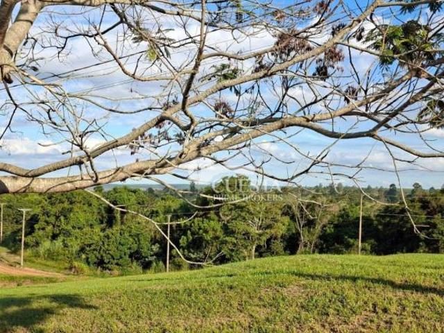 Terreno à venda, 392 m² por R$ 60.000,00 Condomínio Ninho Verde II Pardinho/SP
