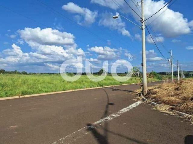 Terreno à venda, 407 m² por R$ 160.000,00 Conquista Piracicaba/SP