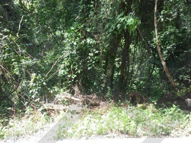 Terreno à venda, 4085 m² por R$ 1.200.000,00 Quintas do Ingaí Santana de Parnaíba/SP