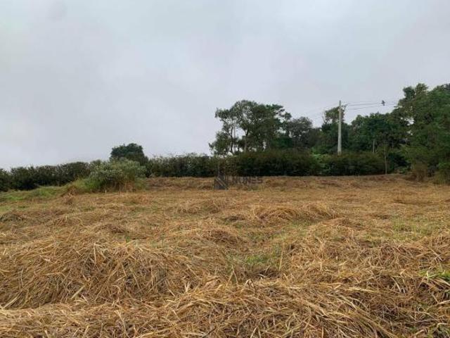 Terreno à venda, 4000 m² por R$ 120.000 Grama Juiz de Fora/MG