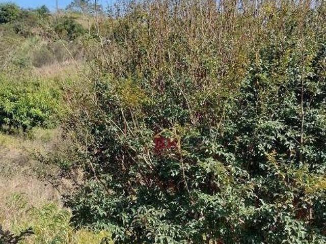 Terreno à venda, 4000 m² por R$ 130.000,00 Chácara Santa Luzia Taubaté/SP