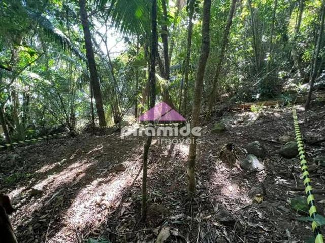 Terreno à venda, 4000 m² por R$ 700.000,00 Praia da Lagoinha Ubatuba/SP