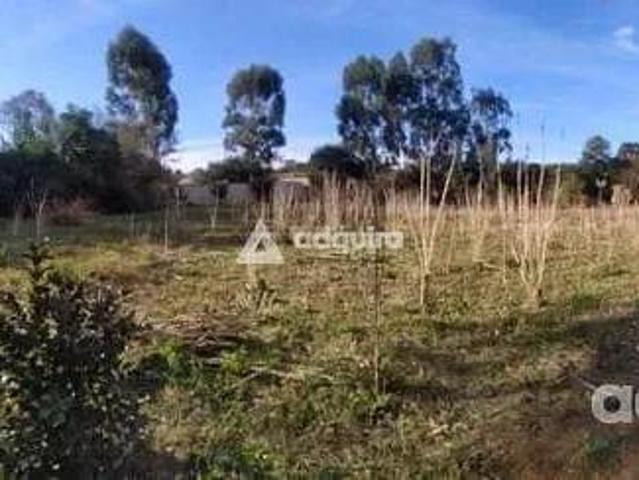 Terreno à venda 4000M², Cará cará, Ponta Grossa PR