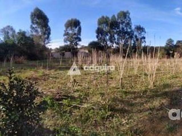 Terreno à venda 4000M², Cará cará, Ponta Grossa PR