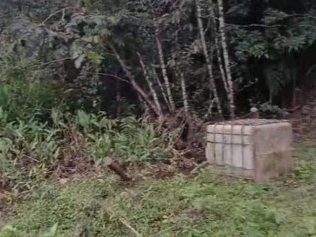 Terreno à venda, 400 m² por R$ 220.000 Praia do Itamambuca Ubatuba/SP