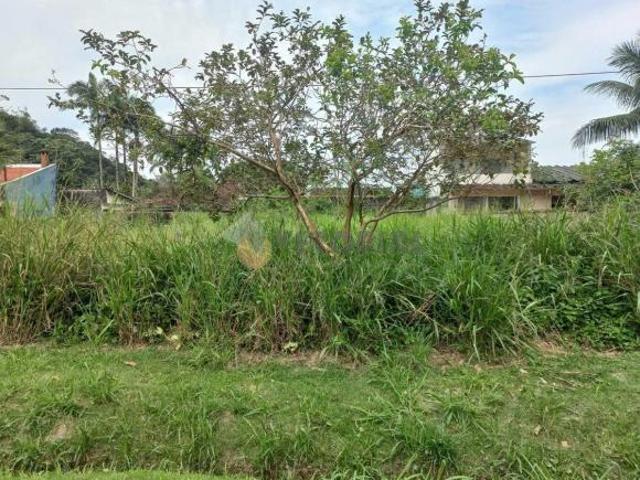 Terreno à venda, 402 m² por R$ 290.000 Massaguaçu Caraguatatuba/SP