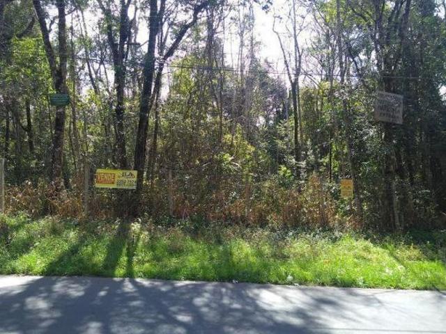 Terreno à venda, 4180 m² por R$ 1.000.000,00 Abranches Curitiba/PR