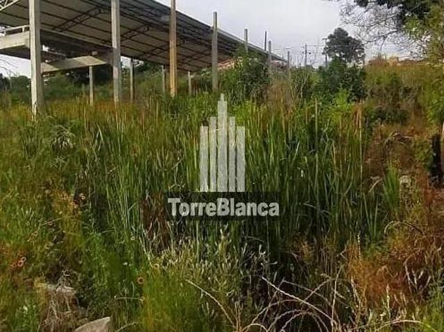 Terreno à venda 412.5M², Contorno, Ponta Grossa PR