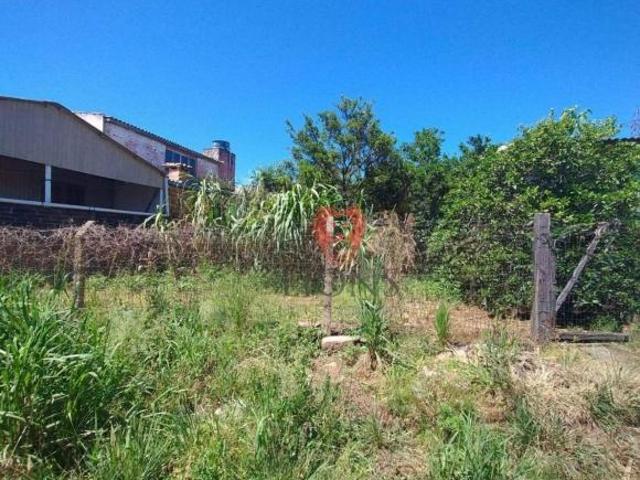 Terreno à venda, 428 m² por R$ 191.000 Girassol Gravataí/RS