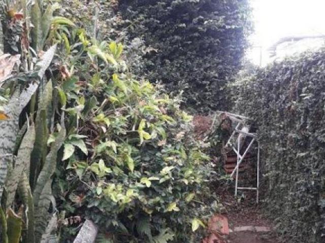 Terreno à venda, 420 m² por R$ 600.000 Vila das Palmeiras Guarulhos/SP CÓD. TE0522