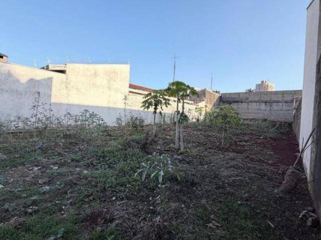 Terreno à venda, 436 m² por R$ 540.000,00 Vila Nossa Senhora de Fátima Americana/SP