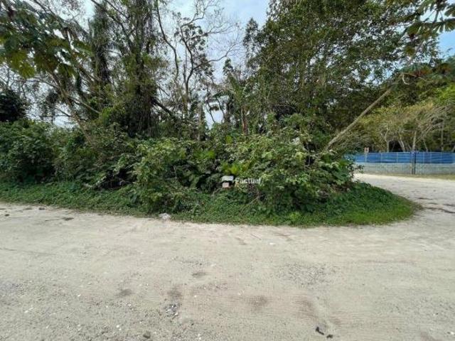 Terreno à venda, 438 m² por R$ 3.000.000,00 Jardim São Lourenço Bertioga/SP