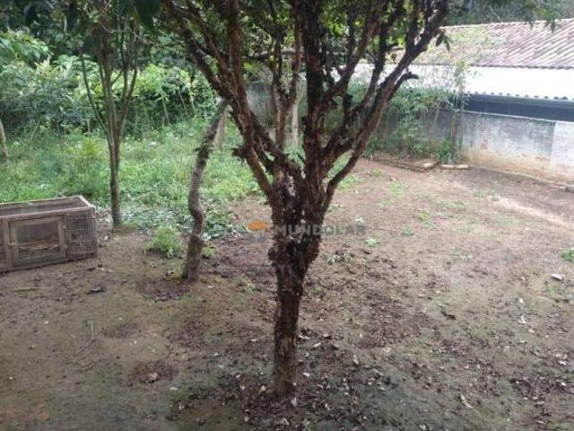 Terreno à venda, 438 m² por R$ 500.000,00 Cachoeira Araucária/PR