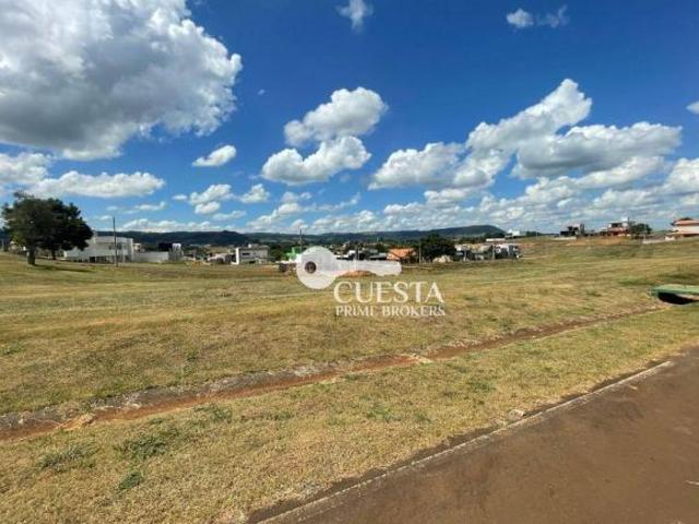 Terreno à venda, 438 m² por R$ 88.000,00 Condomínio Ninho Verde II Pardinho/SP