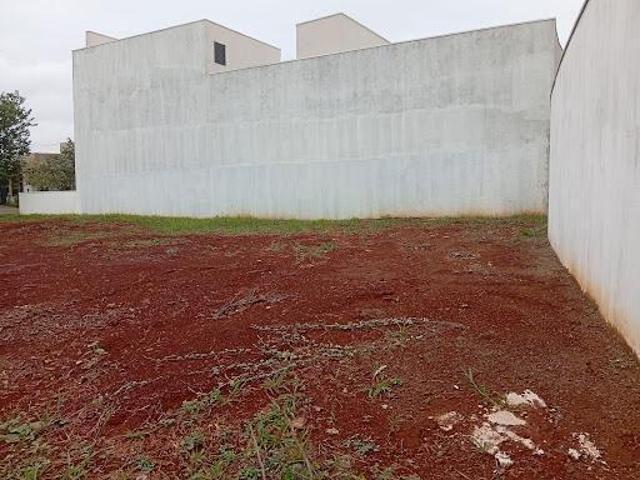 Terreno à venda, 439 m² por R$ 815.000,00 Jardim Pau Brasil Americana/SP