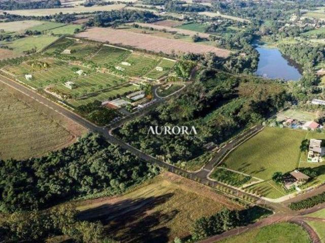 Terreno à venda, 448 m² por R$ 1.300.000,00 Vivendas Do Arvoredo Londrina/PR