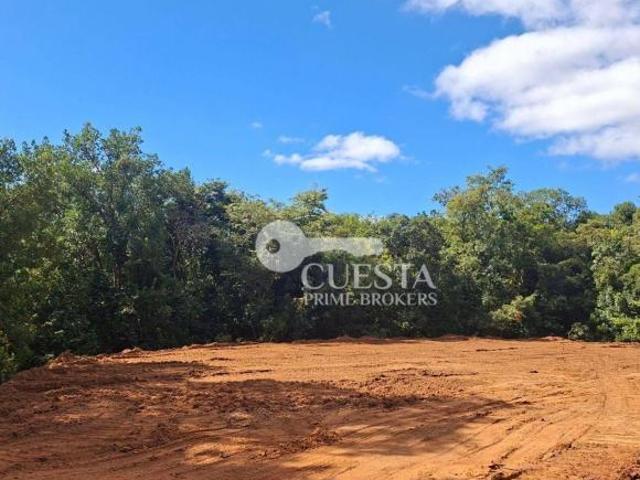 Terreno à venda, 450 m² por R$ 29.000,00 Condomínio Ninho Verde II Pardinho/SP