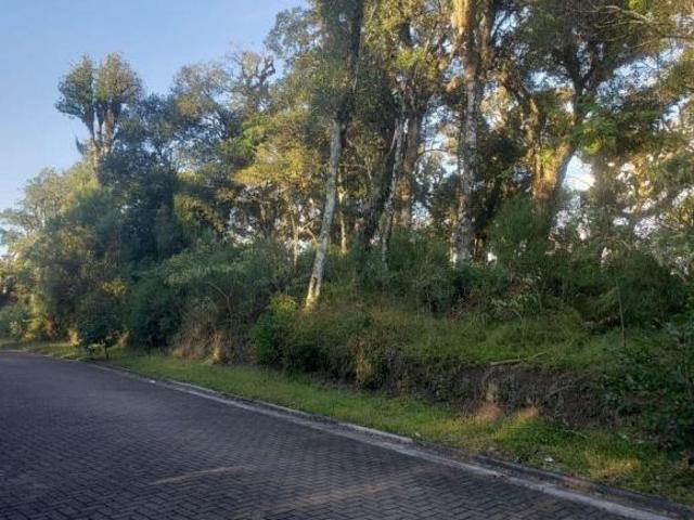 Terreno à venda, 450 m² por R$ 480.000 Carniel Gramado/RS
