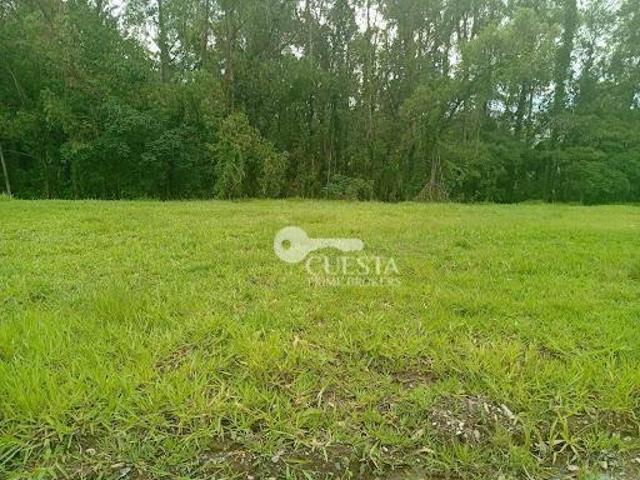 Terreno à venda, 450 m² por R$ 60.000,00 Condomínio Ninho Verde I Eco Residence Porangaba/SP