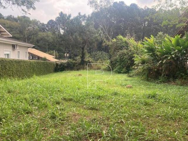 Terreno à venda, 465 m² por R$ 399.990,00 Gramado Cotia/SP