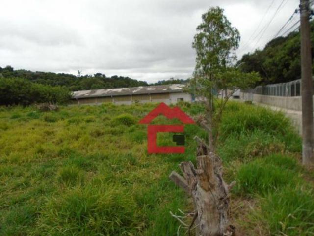 Terreno à venda, 4668 m² por R$ 3.559.000,00 Parque Rincão Cotia/SP