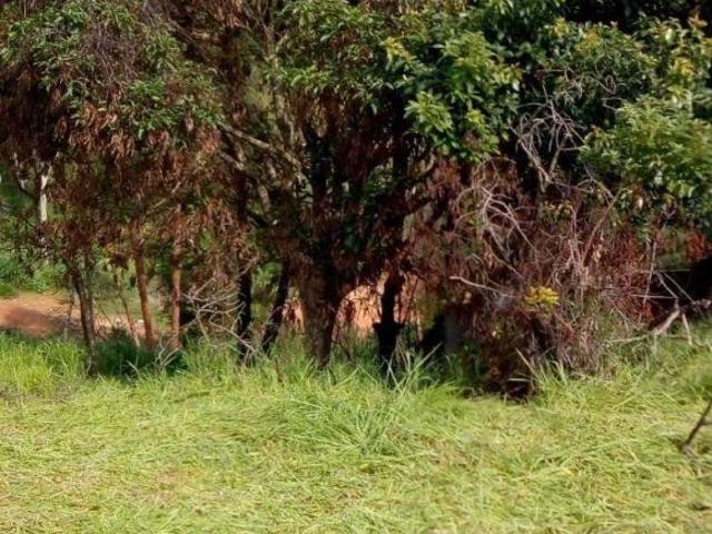 Terreno à venda, 462 m² por R$ 160.000,00 São Geraldo Juiz de Fora/MG