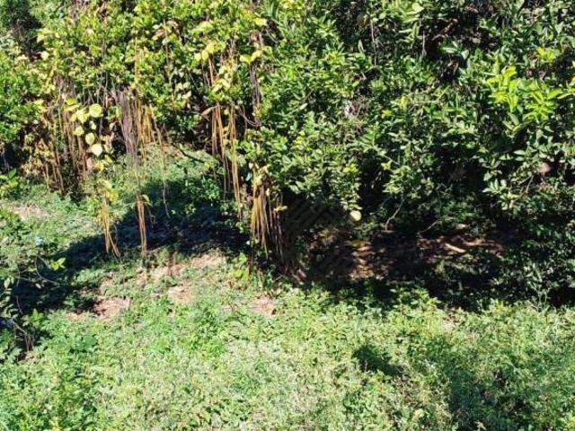Terreno à venda, 463 m² por R$ 150.000,00 Brigadeiro Tobias Sorocaba/SP
