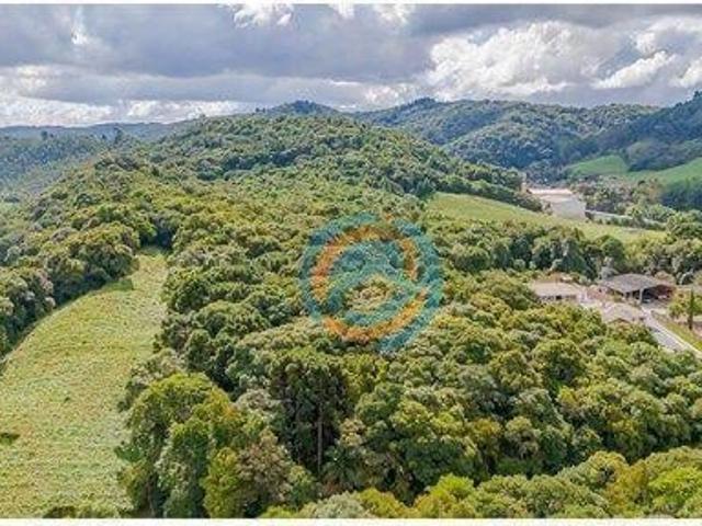 Terreno à venda, 48000 m² por R$ 2.600.000 Boicininga Colombo/PR