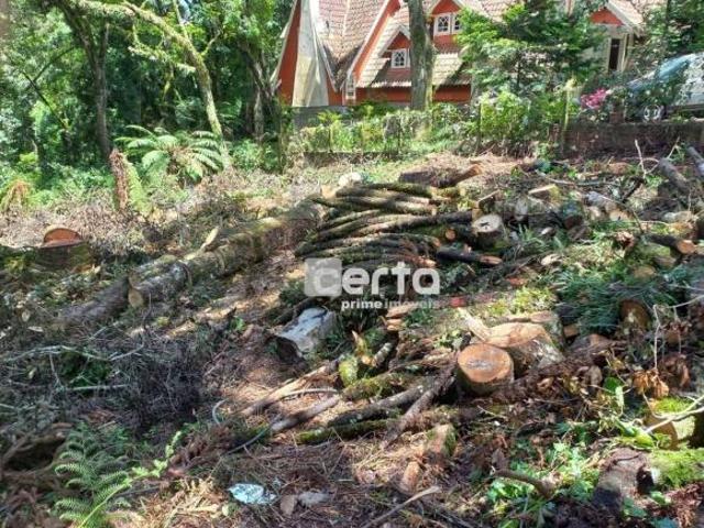 Terreno à venda, 480 m² Remanso Canela/RS