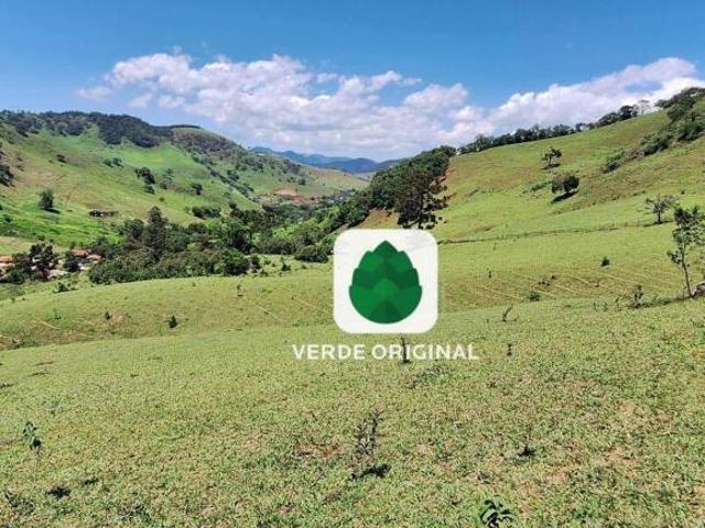 Terreno à venda, 48251 m² por R$ 650.000 Monjolinho São Bento do Sapucaí/SP