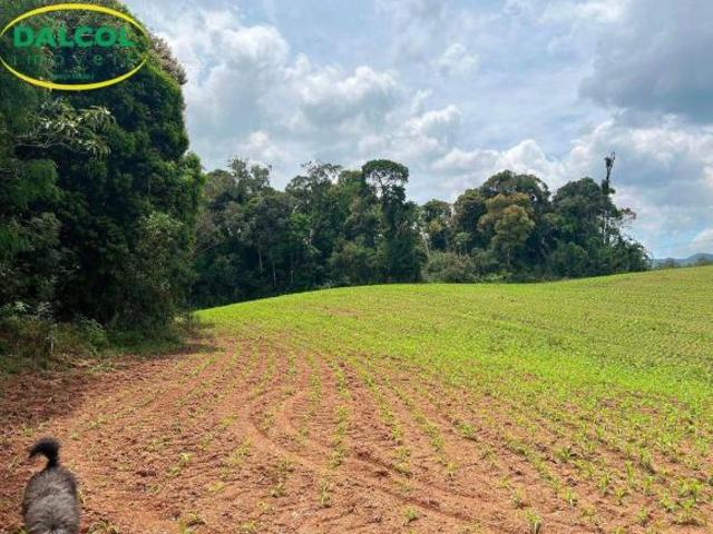 Terreno à venda, 49423 m² por R$ 650.000,00 Area Rural São José dos Pinhais/PR