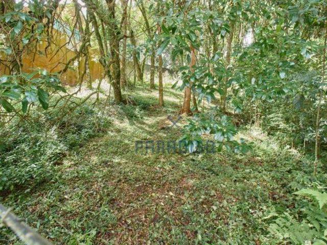 Terreno à venda, 495 m² por R$ 430.000 Santa Felicidade Curitiba/PR