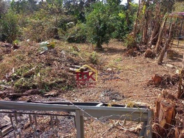 Terreno à venda, 490 m² por R$ 245.000,00 Santa Herminia São José dos Campos/SP