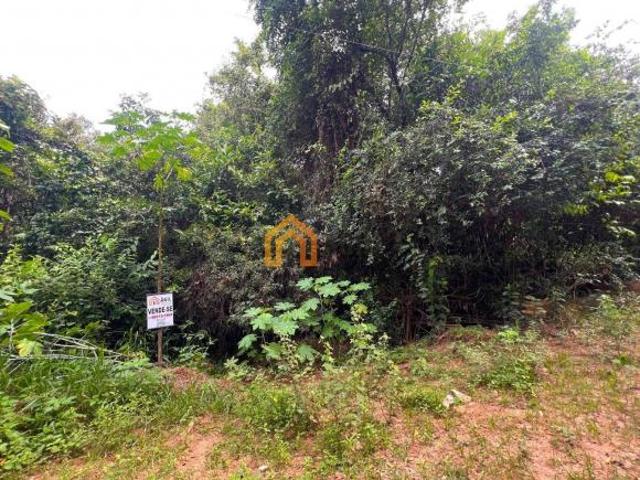 Terreno à venda, 490 m² por R$ 34.950,00 Samambaia Juatuba/MG