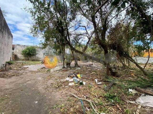 Terreno à venda, 490 m² por R$ 350.000,00 Jardim das Gaivotas Caraguatatuba/SP