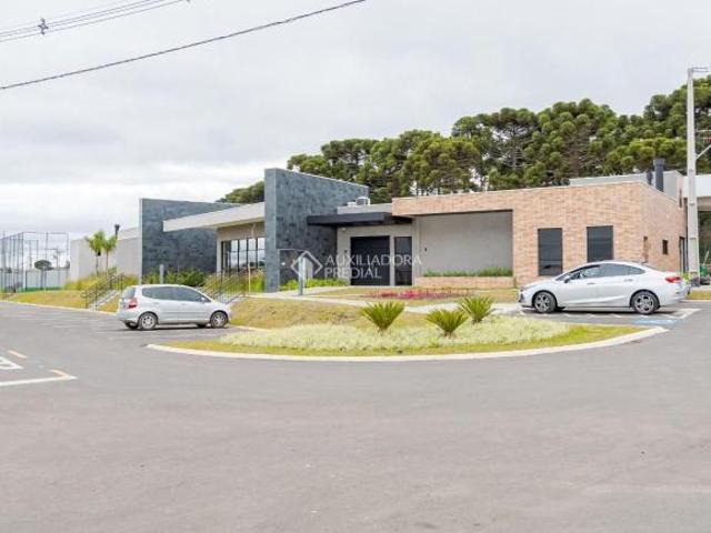 Terreno à venda, 490 m² por R$ 650.000,00 Afonso Pena São José dos Pinhais/PR