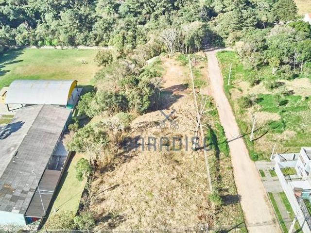 Terreno à venda, 4920 m² por R$ 5.000.000 Santa Felicidade Curitiba/PR