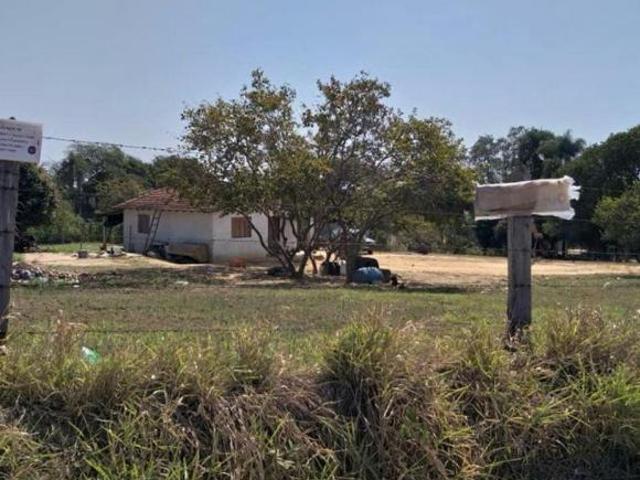 Terreno à Venda – 4.000 m² com Casa e Árvores Frutíferas