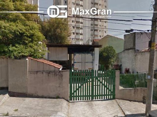Terreno à venda, 504 m² Vila Zelina São Paulo SP