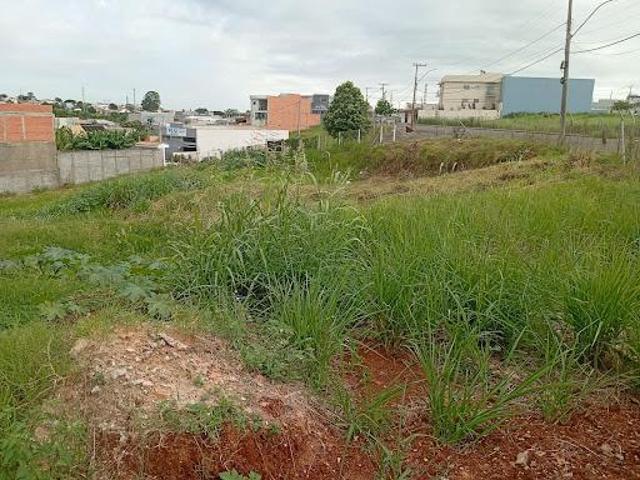 Terreno à venda, 505 m² por R$ 350.000,00 Jardim dos Pinheiros Americana/SP