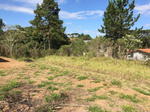 TERRENO A VENDA 5077m² IBIUNA/SP