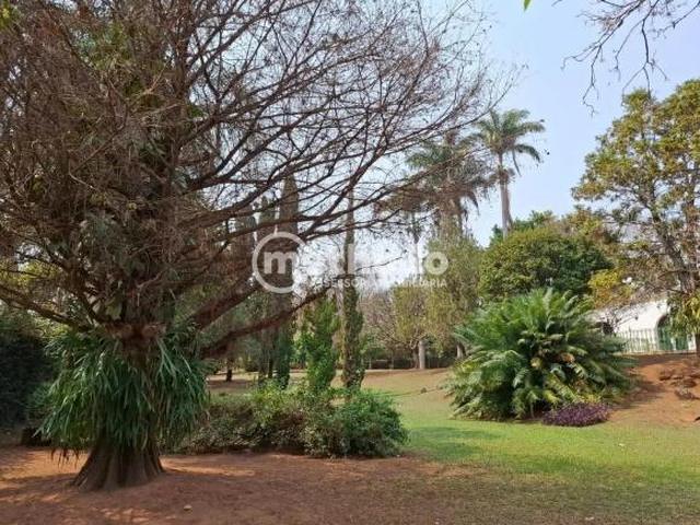 Terreno à venda, 5086 m² por R$ 8.130.000,00 Taquaral Campinas/SP