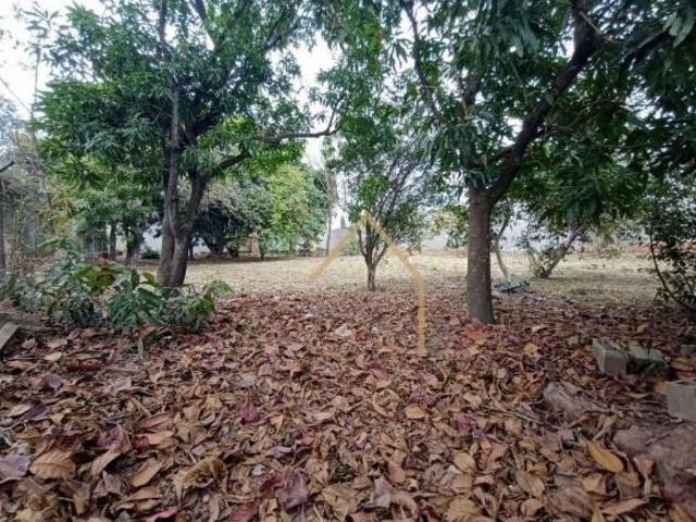 Terreno à venda, 508 m² por R$ 450.000,00 Praia dos Namorados Americana/SP