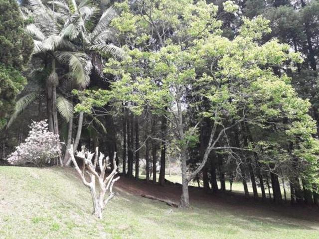 Terreno à venda, 5000 m² por R$ 1.500.000,00 Mailasqui São Roque/SP