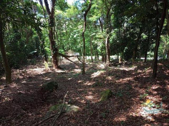 Terreno à venda, 5000 m² por R$ 400.000,00 T Grande São Sebastião/SP