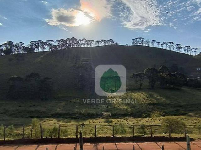 Terreno à venda, 5000 m² por R$ 600.000,00 Quilombo São Bento do Sapucaí/SP
