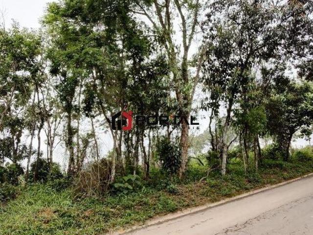 Terreno à venda, 500 m² Gramado Granja Viana Cotia/SP